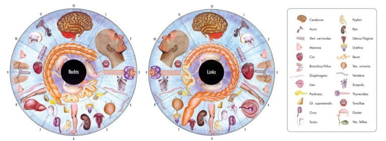 What Is An Iridology Chart? – Maikong Iridology Pictures And Meanings
